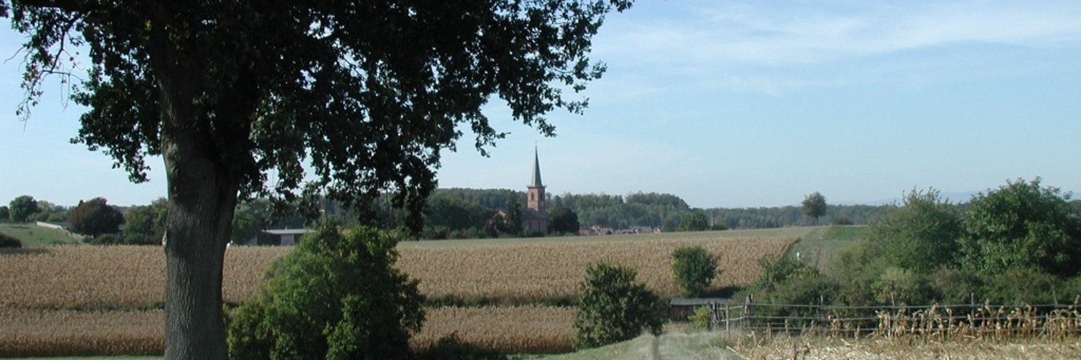 Gemeindeverwaltung | Gemeinde Schaafheim